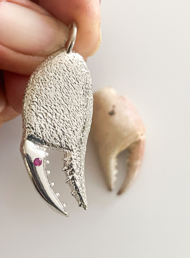 Crab Leg / Pata de Cangrejo - ROQUE designs